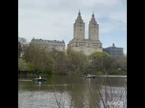 New York city#travel #trendingshorts #USA#nature