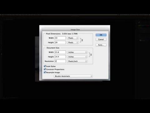 How to Print Large Digital Photos : Photography & Photo Editing