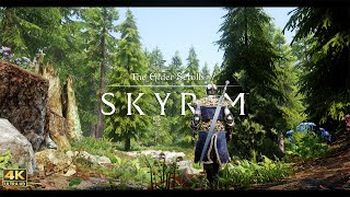 4K Skyrim Ultra Modded Gameplay Latest TKV6 for NAT at Skyrim Special ...