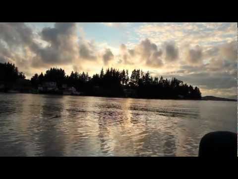 Media – Kat M. Anderson