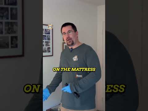 Think you might have bed bugs? Here's how to tell if they're hiding in your home! 🚨