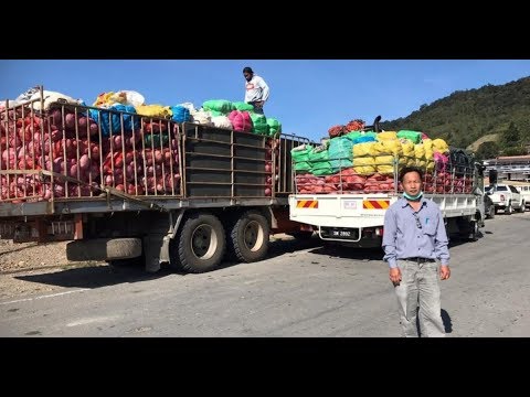 MCO: Sabah farmer distributing vegetables for free rather than letting them go to waste