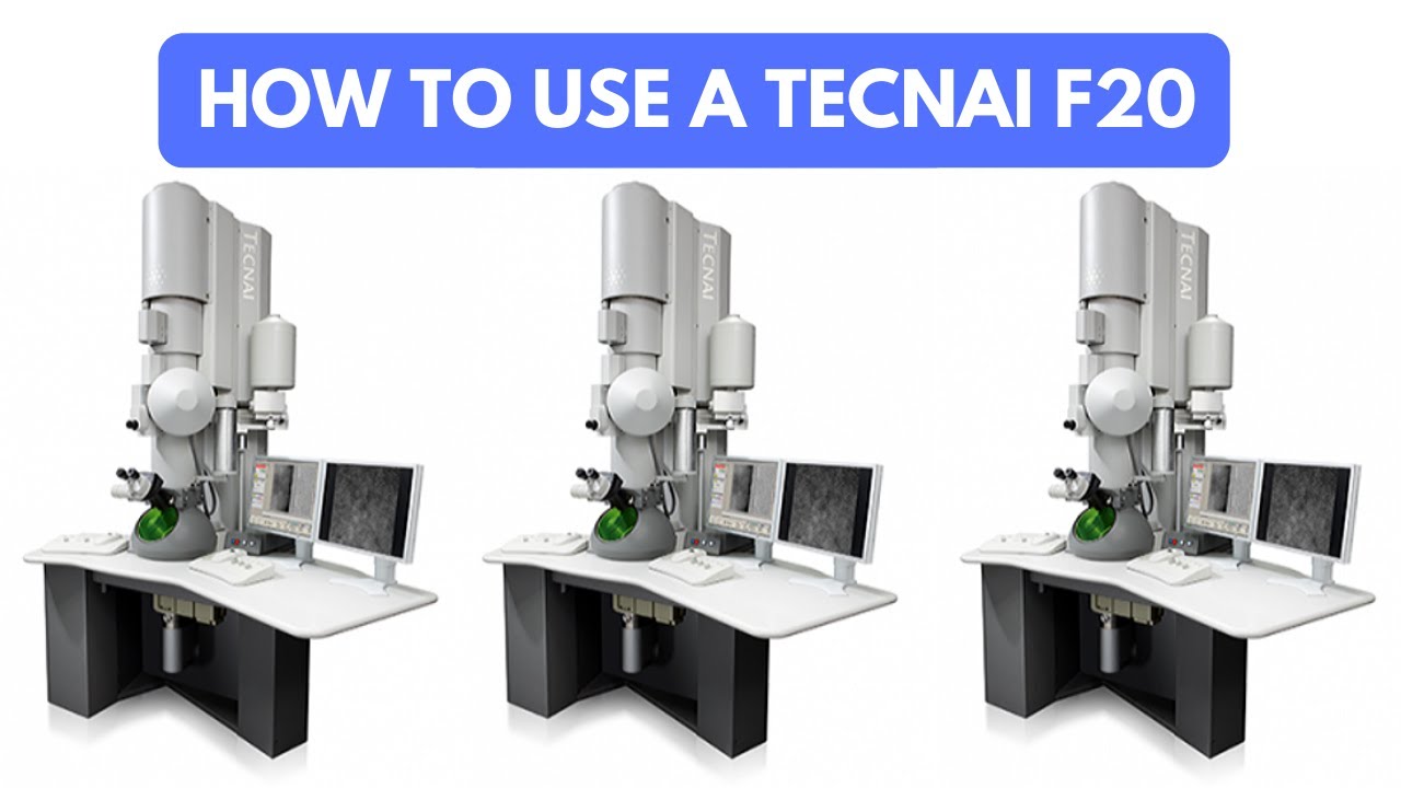 FEI Tecnai F20 S/TEM: basic operation (version 2.0)