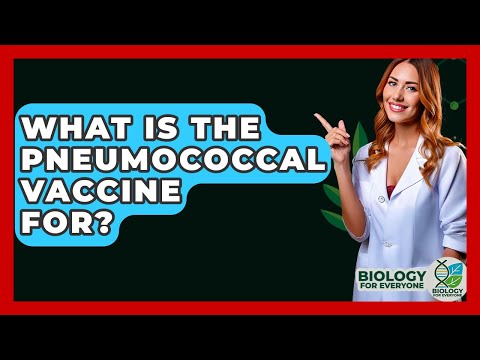 What Is The Pneumococcal Vaccine For? - Biology For Everyone