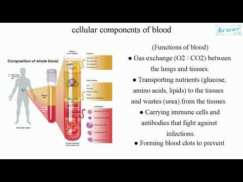 cellular components of blood (English) - Medical terminology for medical students -