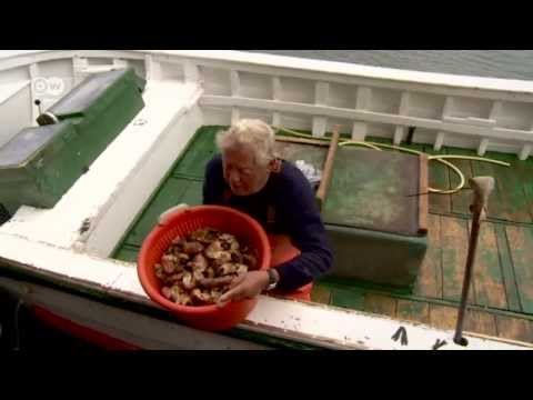 Wind Power - A New Course for Heligoland (1) | Made in Germany