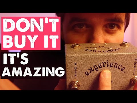 Prescription Electronics Experience Octaver Fuzz | Reverb