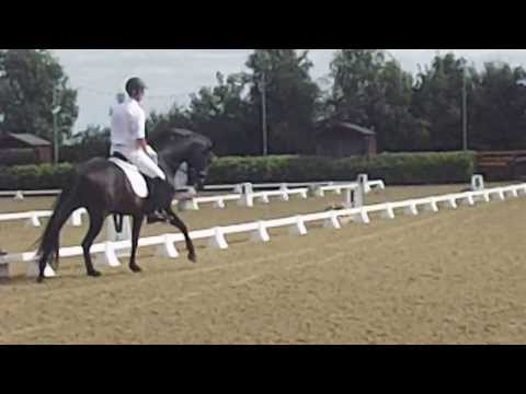 Andrew Robbins riding Diablo Dancer @ Keysoe N37WQ - 67.5%