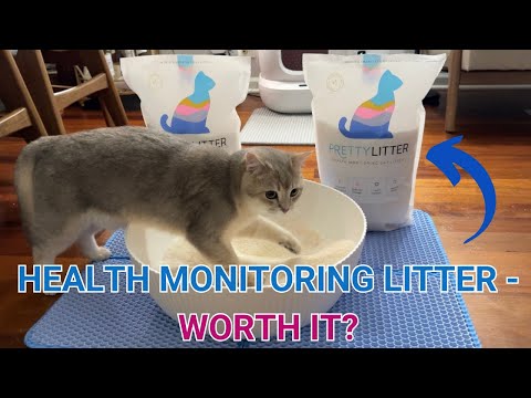 Our Experience with PrettyLitter’s Health Monitoring Cat Litter