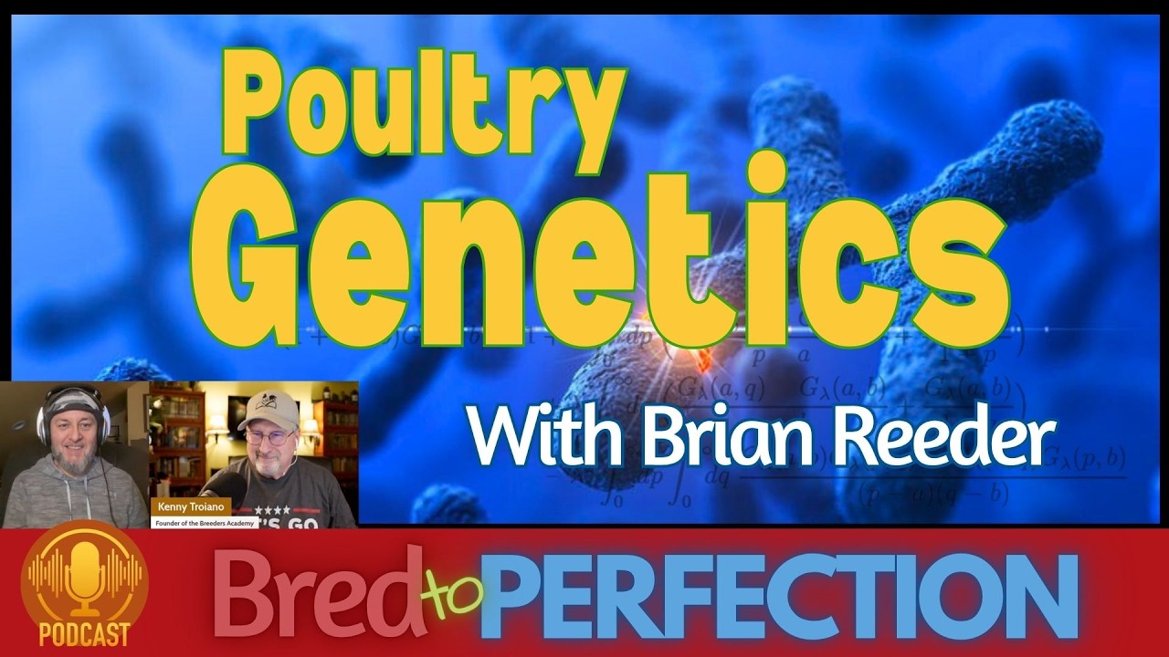 Unlocking the Secrets of Chicken Breeding with Brian Reeder
