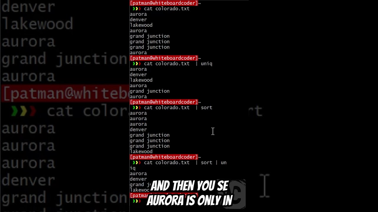 Linux: uniq #coding #linux #linuxtutorials #linuxcommandlinetutorial #ubuntu #sysadmin