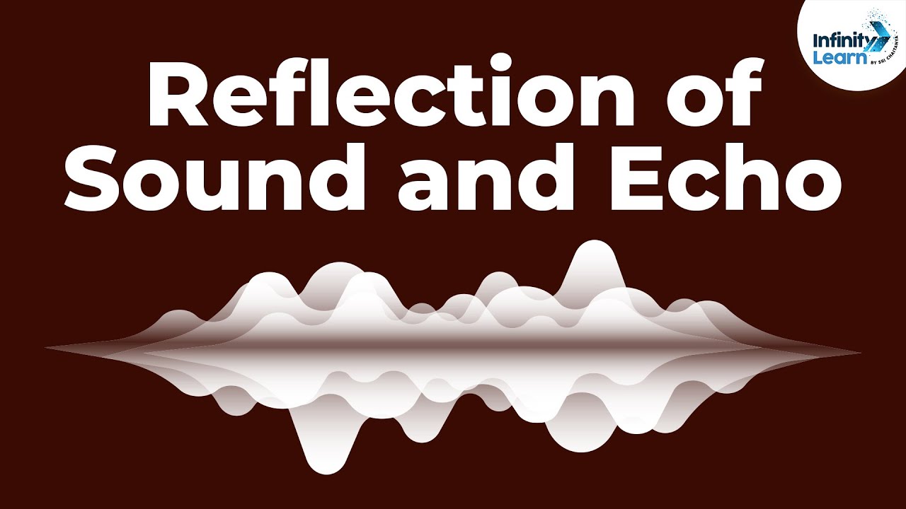 Reflection of Sound and Echo | Don't Memorise