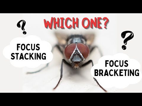 Focus stacking or focus bracketing?