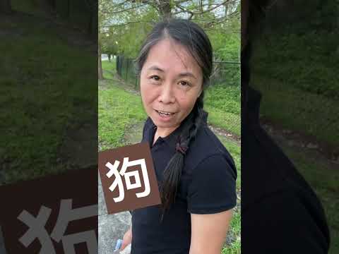 How to say DOG in Chinese and Taiwanese! #animal #chineselanguage #taiwanese #dog #puppy