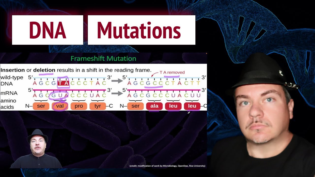Understanding DNA Mutations: Types, Causes, and Effects | Galaxy.ai
