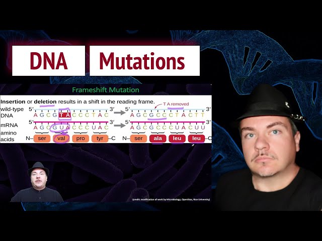 Understanding DNA Mutations: Types, Causes, and Effects | Galaxy.ai | Galaxy.ai