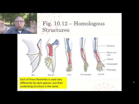 BIO 101 Lecture 12b - Evidence for Evolution