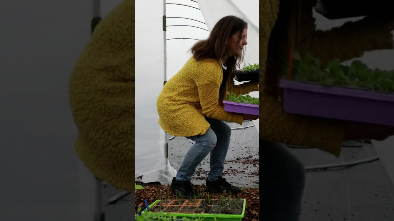 Save Your Seed Starting Space for Specialty Crops #gardening