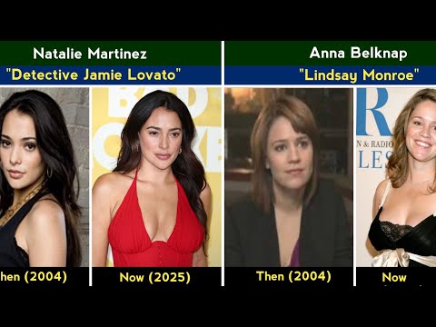 "CSI NY" (2004) Cast Then and Now (2025) | After 21 Years Transformation