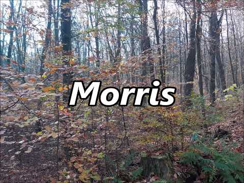 MORRIS as Family Name   Meaning and Origin