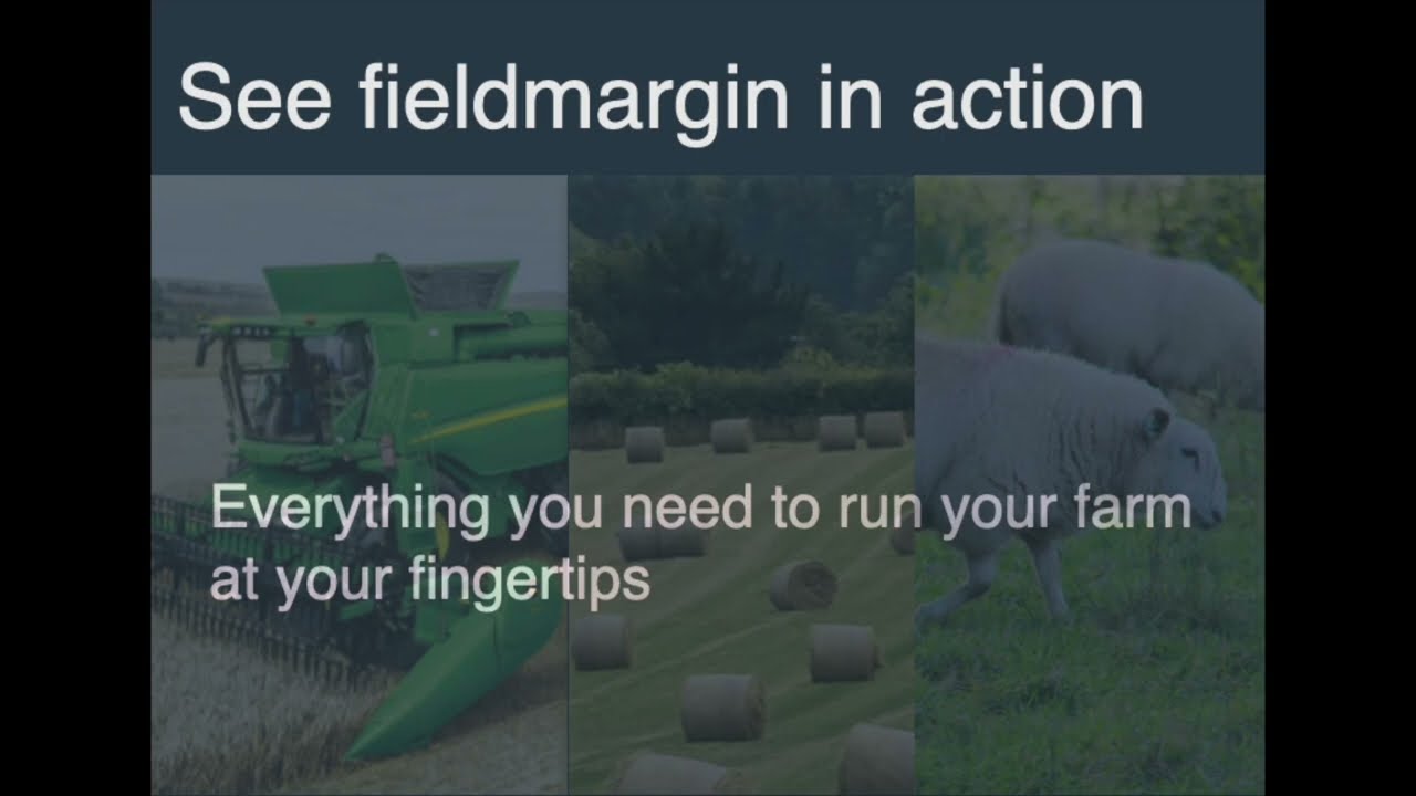 See fieldmargin in action