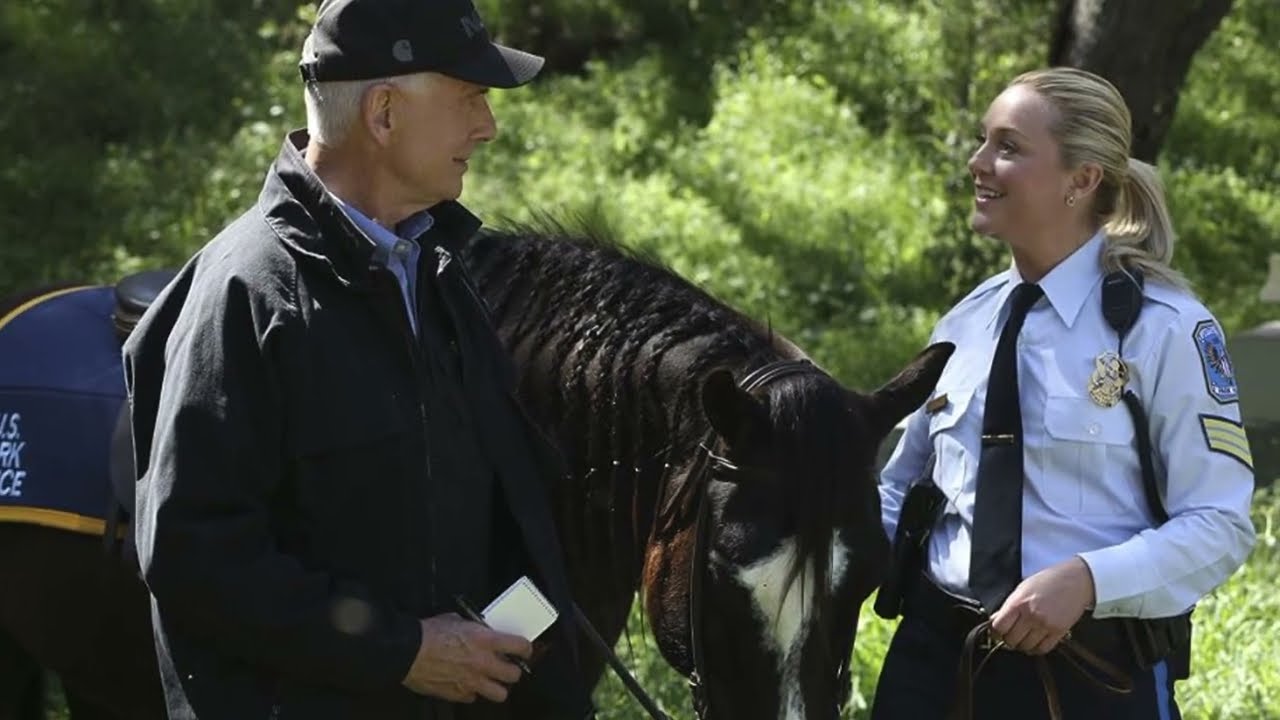 NCIS star Mark Harmon's father was a sports legend - details
