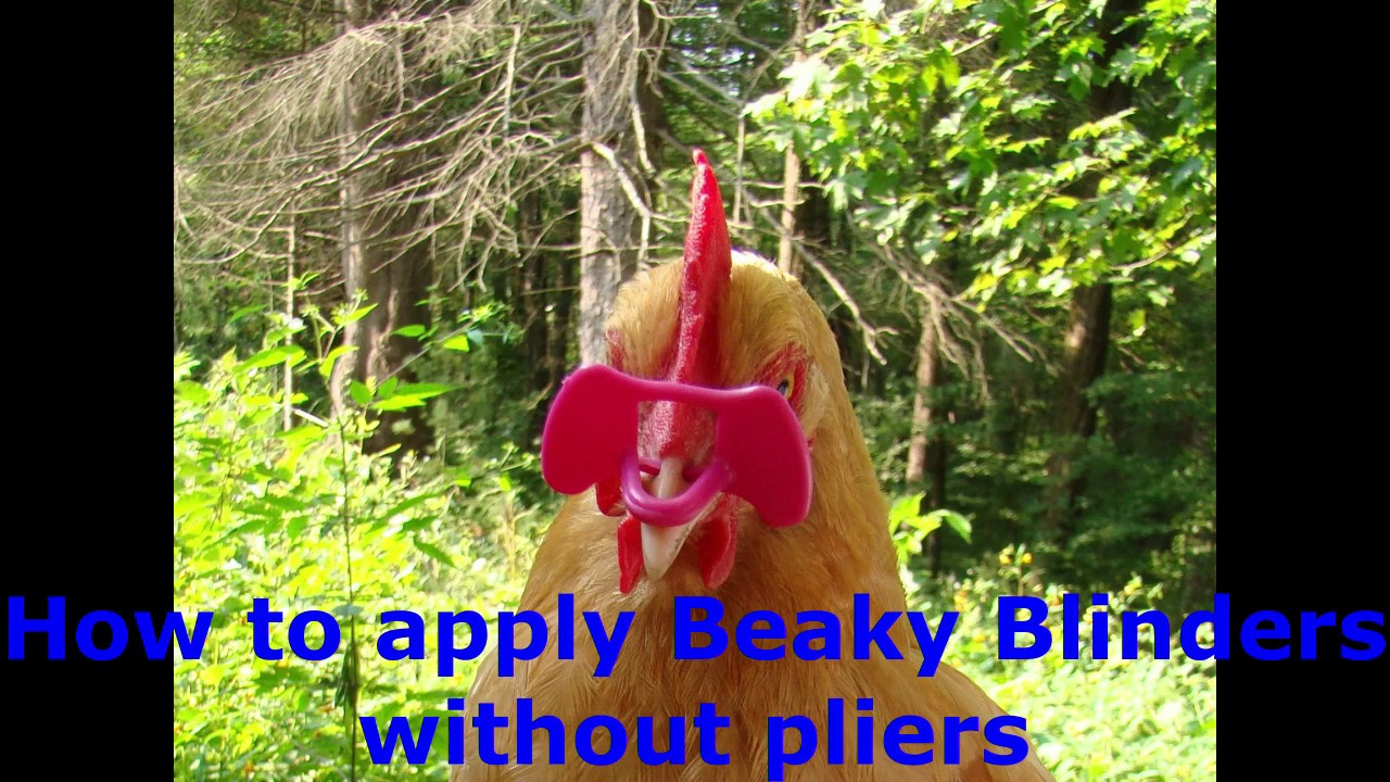 How to Apply Beaky Blinders without pliers