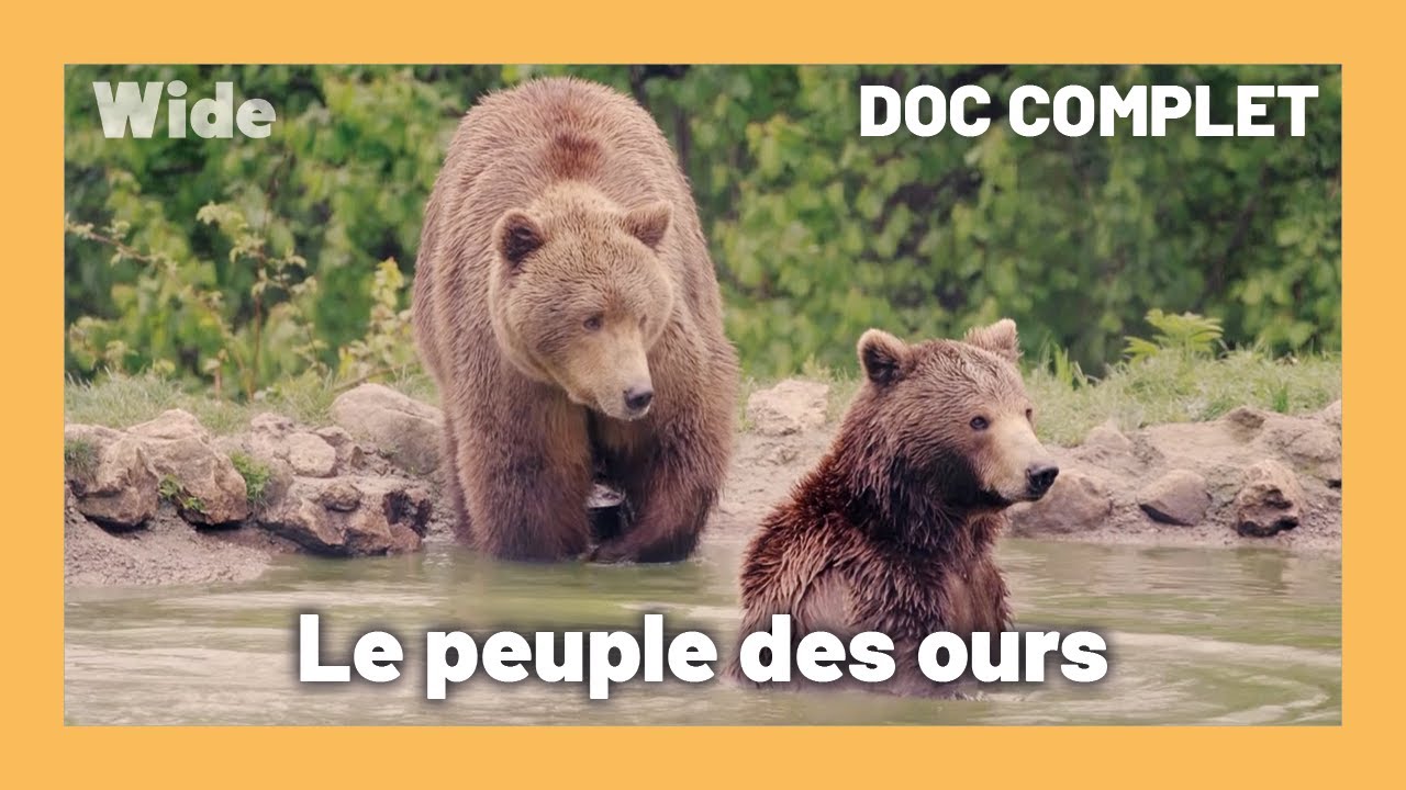 Documentaire | Roumanie : un lien homme-ours exceptionnel