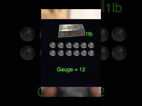 Shotgun Gauge Explained | Why it's called a "12" Gauge