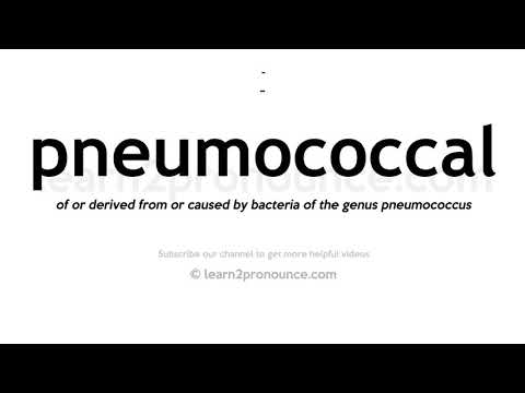 How to pronounce Pneumococcal | English pronunciation
