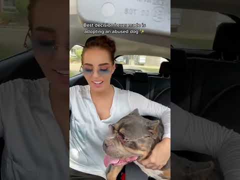 My dog SAVED ME! ❤️ #dog #puppy #viral #facebook #tiktok #fy #americanbully #instagram