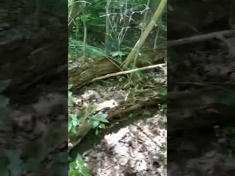 New Stairs for Steep Slope
