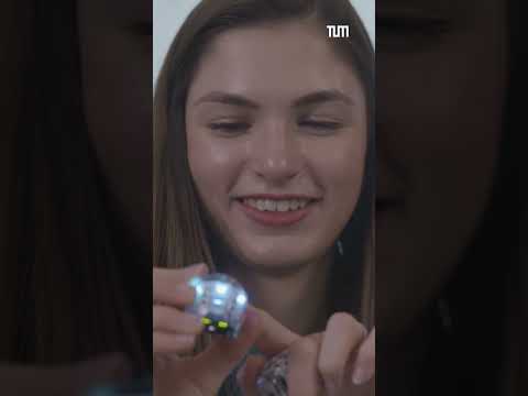 TUM School of Computation, Information and Technology: Information Systems #shorts