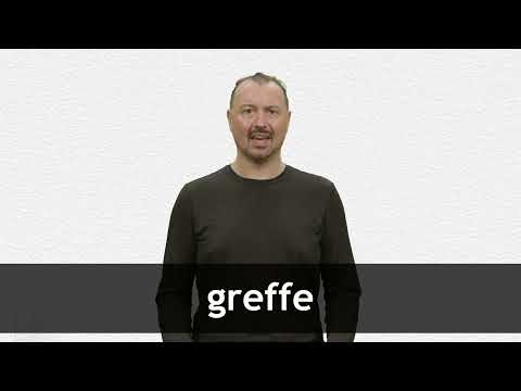 English Translation of “GREFFE” | Collins French-English Dictionary
