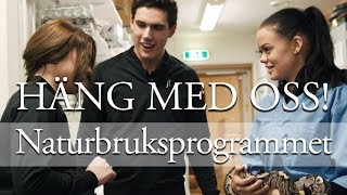 Humanistiska programmet - Gymnasieutbildning om människan