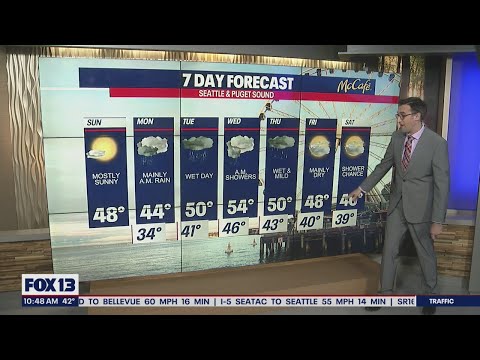 We're seeing the first sunny day in months! | FOX 13 Seattle