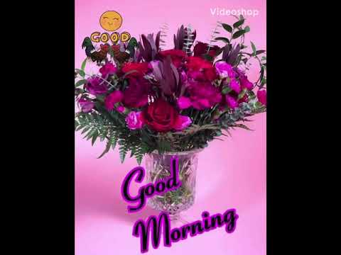 Good Morning Beautiful Flower 🌹 What’s Up Status | Good Morning Wallpaper With Music 🎶 | Shorts