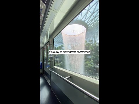 Take the skytrain through Jewel's HSBC Rain Vortex
