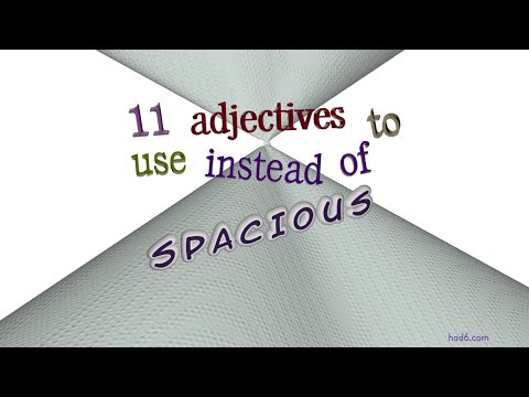 spacious - 15 adjectives with the meaning of spacious (sentence examples)