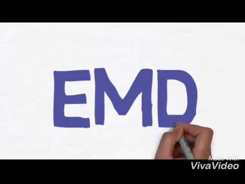 SEO Basic Words Abbreviation part 1 | For Beginners | online College Course