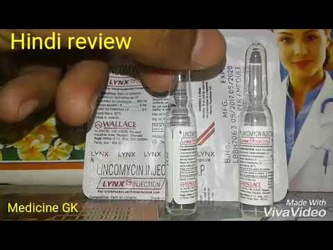Lynx Infection Injection, 300 mg/vial, Price from Rs.6/unit onwards ...