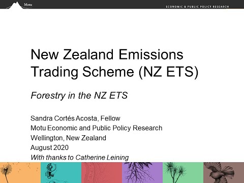 NZ ETS forestry - English Subtitles