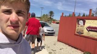 DINOSAURS IN THE DESERT!