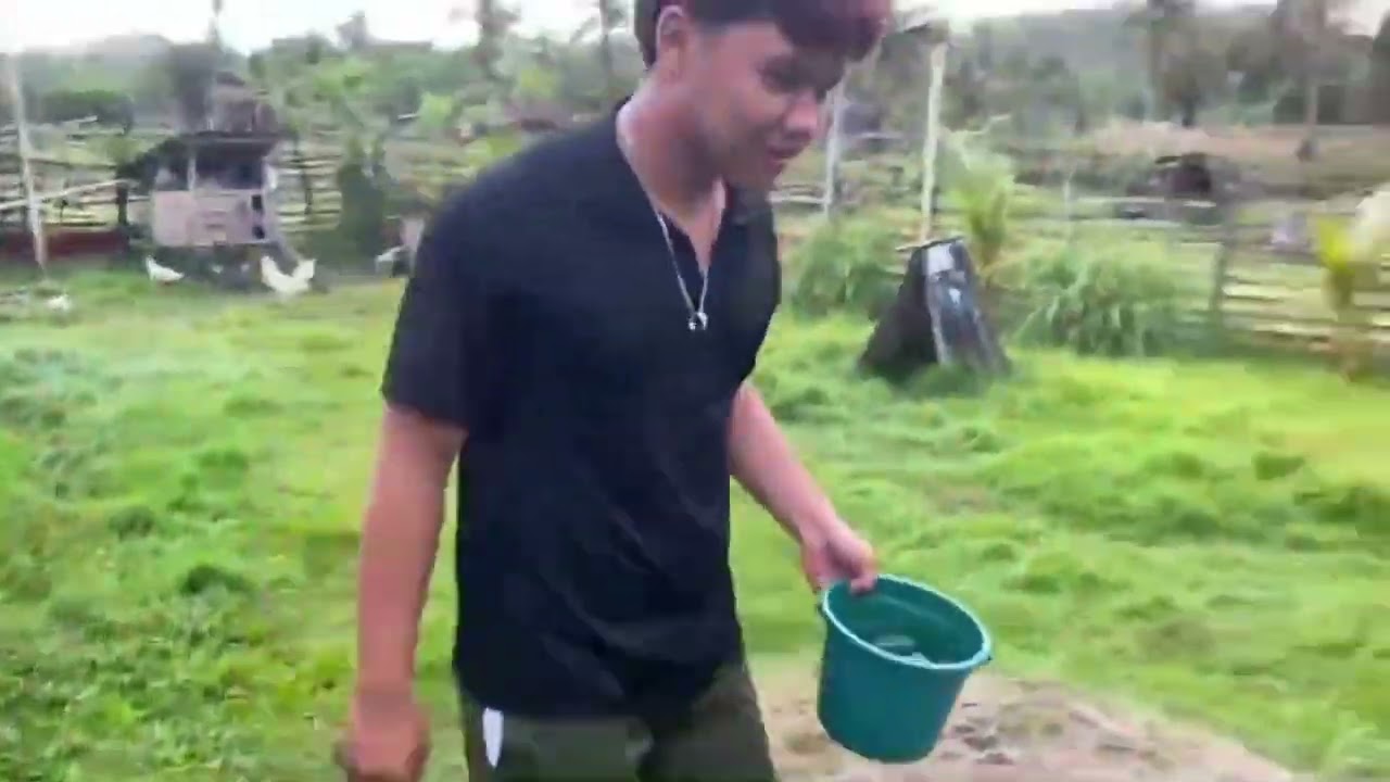 ENVIRONMENTAL SCIENCE FINAL PROJECT: ONE STUDENT ONE TREE