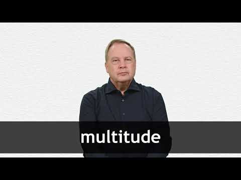 MULTITUDE definition and meaning | Collins English Dictionary