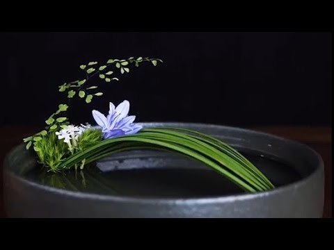 插花藝術--固定和造型花枝,簡單,易學--Flower Arrangement Ideas- ikebana #chahua #Flower Arrangement