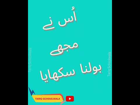 TEACH VERB words meaning sentence Urdu translation spoken English