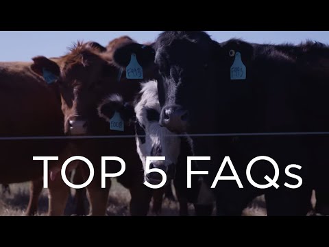 Top 5 Questions Answered About Regenerative Agriculture - Allen Williams