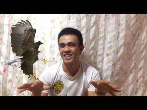 BISAYA and TAGALOG same words with different meaning
