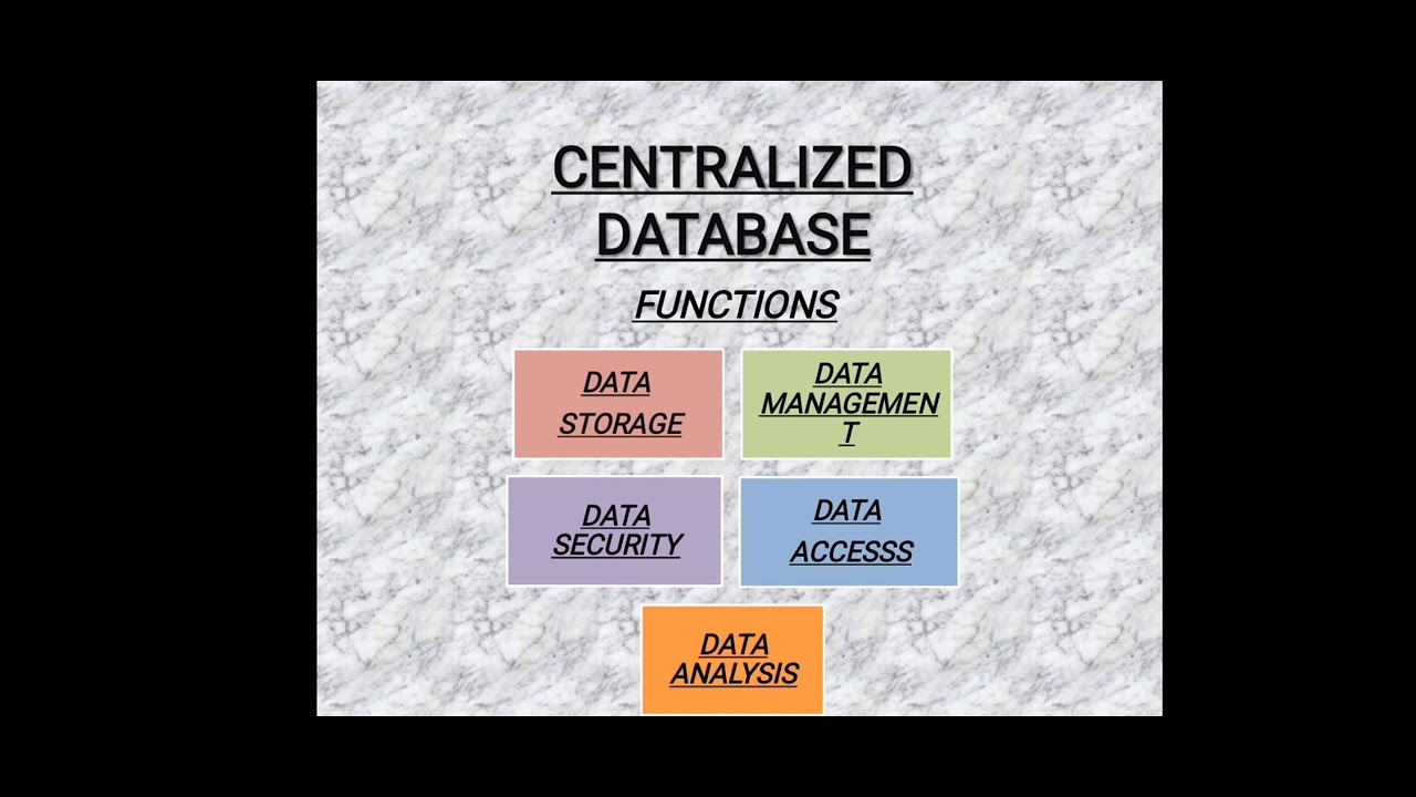 Centralized Database (Definition, Function, Examples, Advantages, and Disadvantages)